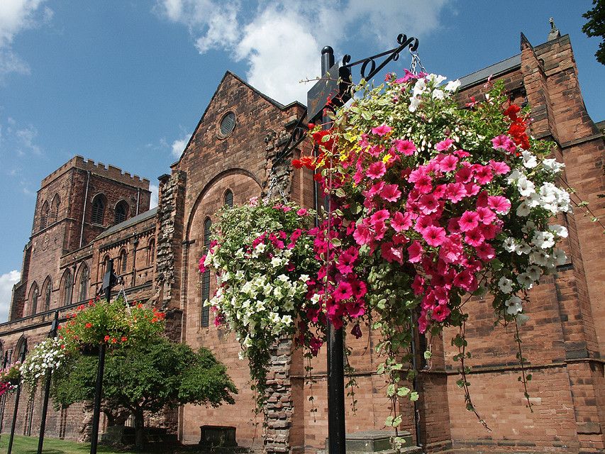 Have you tried Amberol’s self-watering hanging baskets?