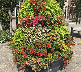 The nation's leading supplier of quality self-watering planters