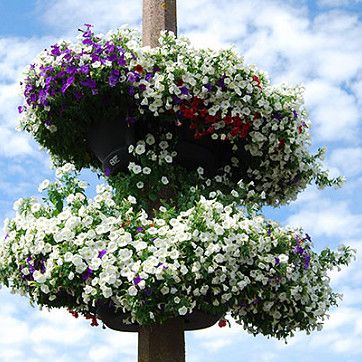 Self-watering floral baskets for street poles & lamp posts