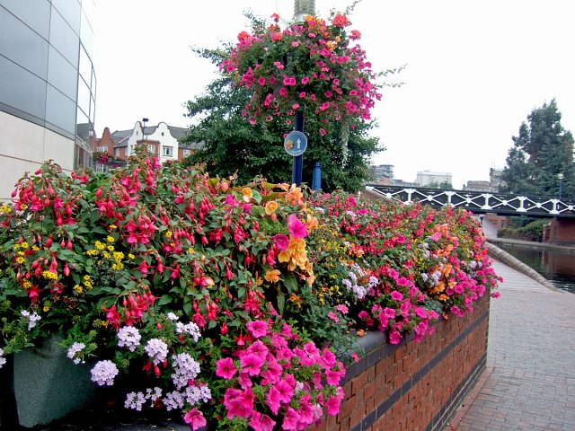 Amberol help bring the ‘feel good’ factor to Birmingham